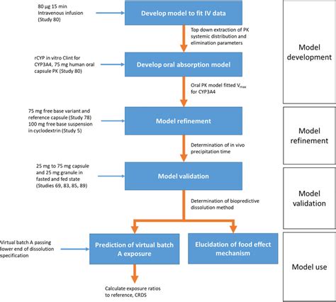 Modeling Strategy For Selumetinib Pbbm Crds Clinically Relevant Download Scientific Diagram