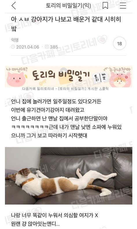 강아지가 나보고 배운 거 같대 포텐 터짐 최신순 에펨코리아
