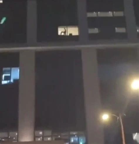 V Deo Em Festa Religiosa Multid O Aplaude Casal Fazendo Sexo Em Hotel Metr Poles