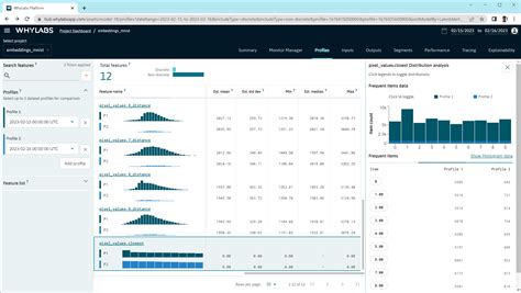embeddings data whylabs documentation