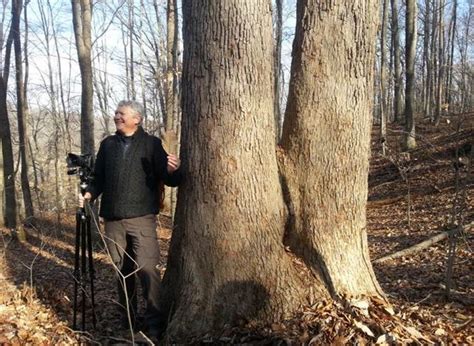 Cucumber Virginia Native Plant Society