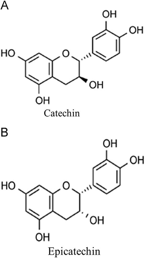 Chemical Structures Of Catechin Cat And Epicatechin Epi Adapted