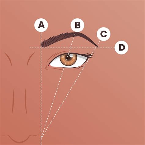 Eyebrow Threading Shapes Chart Faces In Focus A Makeup Artists Guide