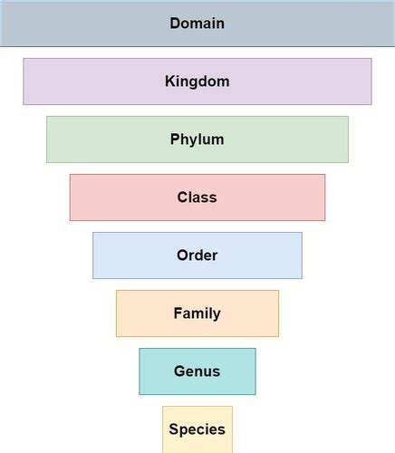 Introduction To Taxonomy And Linnaeuss Contributions Flashcards Quizlet