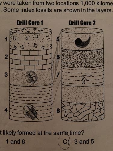 Geologic Time Quiz Flashcards Quizlet