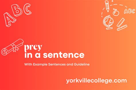 How To Use Prey In A Sentence Easy Examples