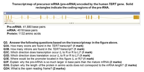Solved Transcript Map Of Precursor Mrna Pre Mrna Encoded