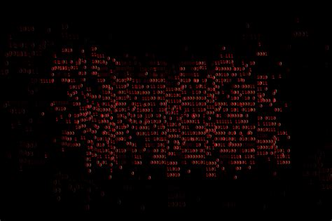 Les Algorithmes Cest Quoi Mobile Vikings