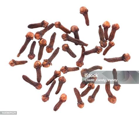 Cengkeh Kering Diisolasi Dengan Latar Belakang Putih Bumbu Cengkeh