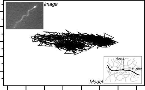 Plot Of Two Dimensional Trajectory Of Fluorescent Bead Coupled To
