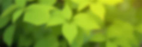 Pdf Background Stock Photos Images And Backgrounds For Free Download