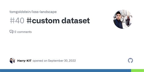 Custom Dataset Issue Tomgoldstein Loss Landscape GitHub