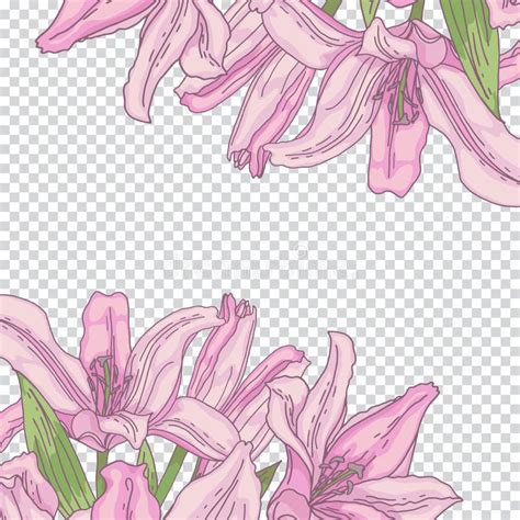 Tender Lily Vector Square Template For Social Networks Stock Vector