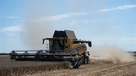 Италианските фермери призоваха за по-малък внос на чуждестранна пшеница ...