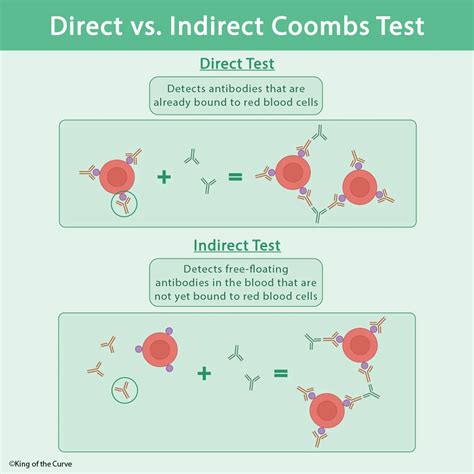 🧪 Direct Vs Indirect Coombs Test Understanding The Difference — King