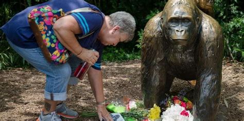 How I Turned Harambes Death Into A Lesson The Odyssey Online