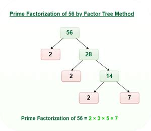 Prime Factorization Definition And Methods To Find Prime Factors