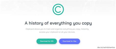 Rashid Shamloo Dev Community