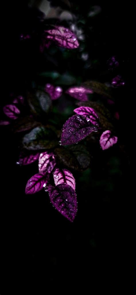 Prathmesh Patil On Linkedin 🌿