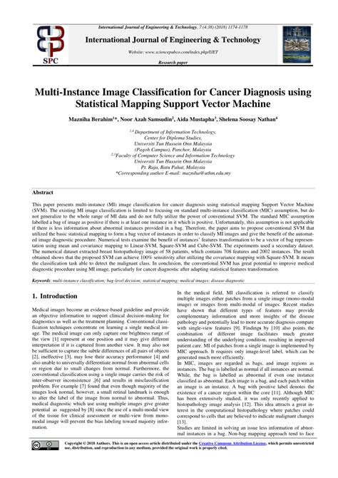 Pdf Multi Instance Image Classification For Cancer Diagnosis Using
