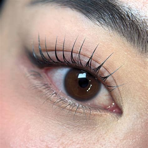 Discover Korean Lifts The Lash Shop