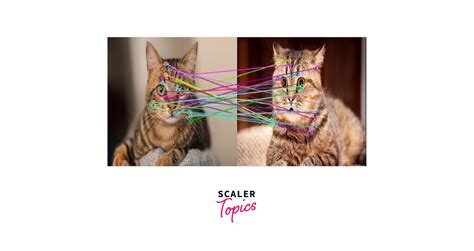 Feature Matching With OpenCV Scaler Topics