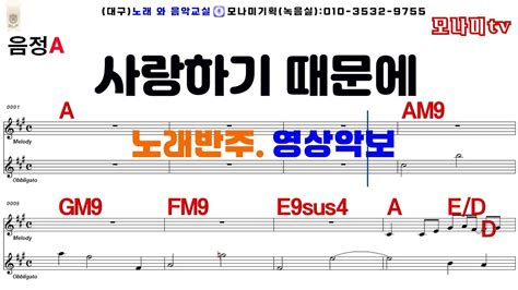 사랑하기 때문에 유재하 노래반주 기타악보 영상악보 노래방 오카리나 하모니카 Mr Youtube