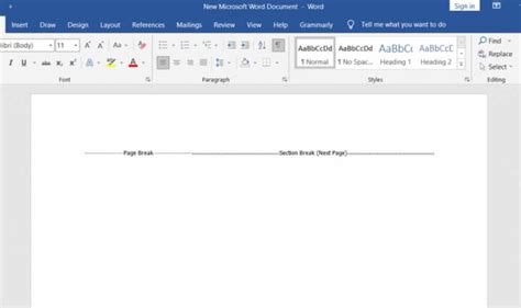 How To Insert A Section Break In Microsoft Word Geeky Insider