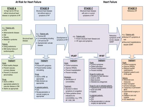 Tatalaksana Gagal Jantung Atau Heart Failure Hf Kedokteran Caiherang
