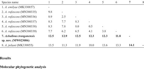 Uncorrected P Distance Matrix Showing Percentage Pairwise Genetic Download Scientific