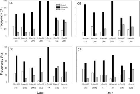 Mytilus Spp Relative Frequency Of M Edulis M Trossulus And