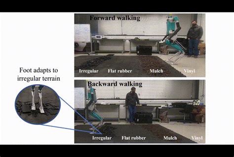 Robust Feedback Motion Policy Design Using Reinforcement Learning On A 3d Digit Bipedal Robot