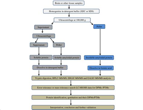 Flowchart Summary Of The Isolation Identification And Quantification