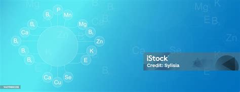 식물을 재배하는 계획과 식물 영양에 필요한 다양한 미네랄 물질의 이미지 거대 원소와 미량 원소 건강한 식생활에 대한 스톡 벡터 아트 및 기타 이미지 Istock
