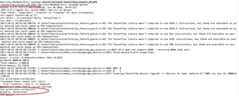 Python Environment Works For Terminal Phython Interpreter But Not