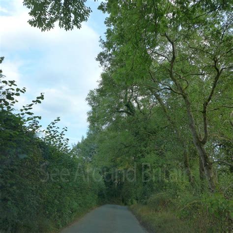 Pictures Of Landscape Between Adfa Nr Newtown Powys And Bwlch Y
