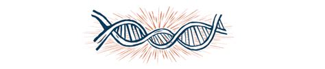 What You Dont Know About The Genetic Coding Behind Bipolar Disorder
