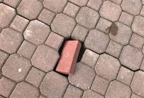 Abanoub Samir On Linkedin In Any Case It Will Be Solved But The Idea