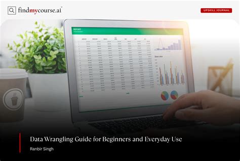 Data Wrangling Essential Steps For Beginners Find My Course
