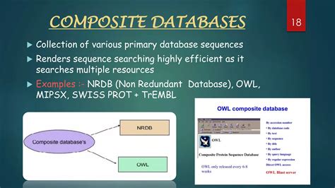 Primary And Secondary Databases Ppt By Puneet Kulyana Pptx