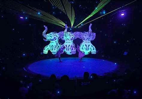 Whats On El Circo De La Luz Llega A Málaga Con Un Espectáculo único