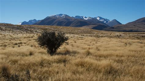 Godley Peaks Conservation Area Places To Go In Canterbury