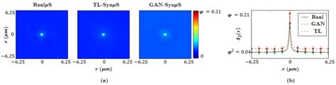 a two dimensional two point correlation functions for realµs and the
