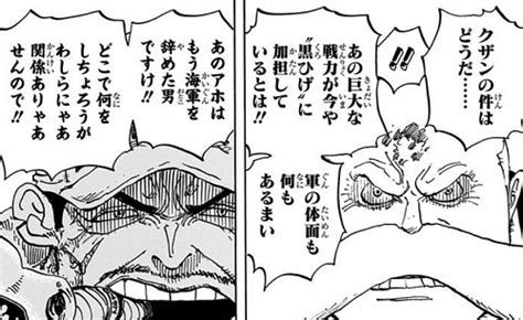 ワンピース考察｜青キジクザンの目的は黒ひげを利用。正体はセンゴク側か マンガ好きcom