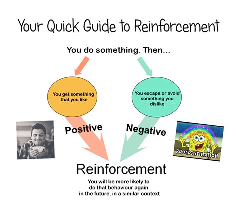 What Is Reinforcement Your Ultimate Guide • Behaviour Babble