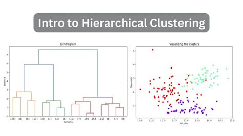Unsupervisedml Hierarchicalclustering Algorithm Dendrogram Gene