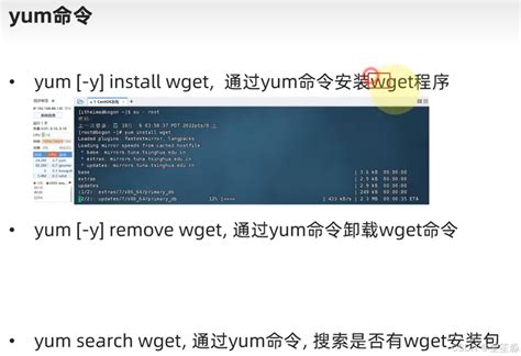 使用yum为centos系统安装软件以及使用（包含阿里云yum源配置） yum阿里云 csdn博客