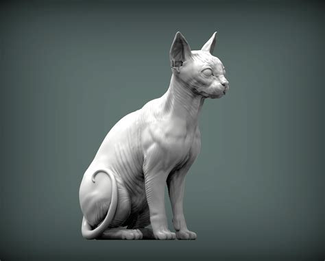 Stl File Sphinx Cat 3d Print Model 🐱・3d Printer Model To Download・cults
