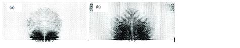 Three Dimensional Numerical Simulation Of The Wetting Process Of Oil