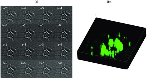 Srs Z Stack For 3d Volume Reconstruction Of Lipids A Single Download Scientific Diagram
